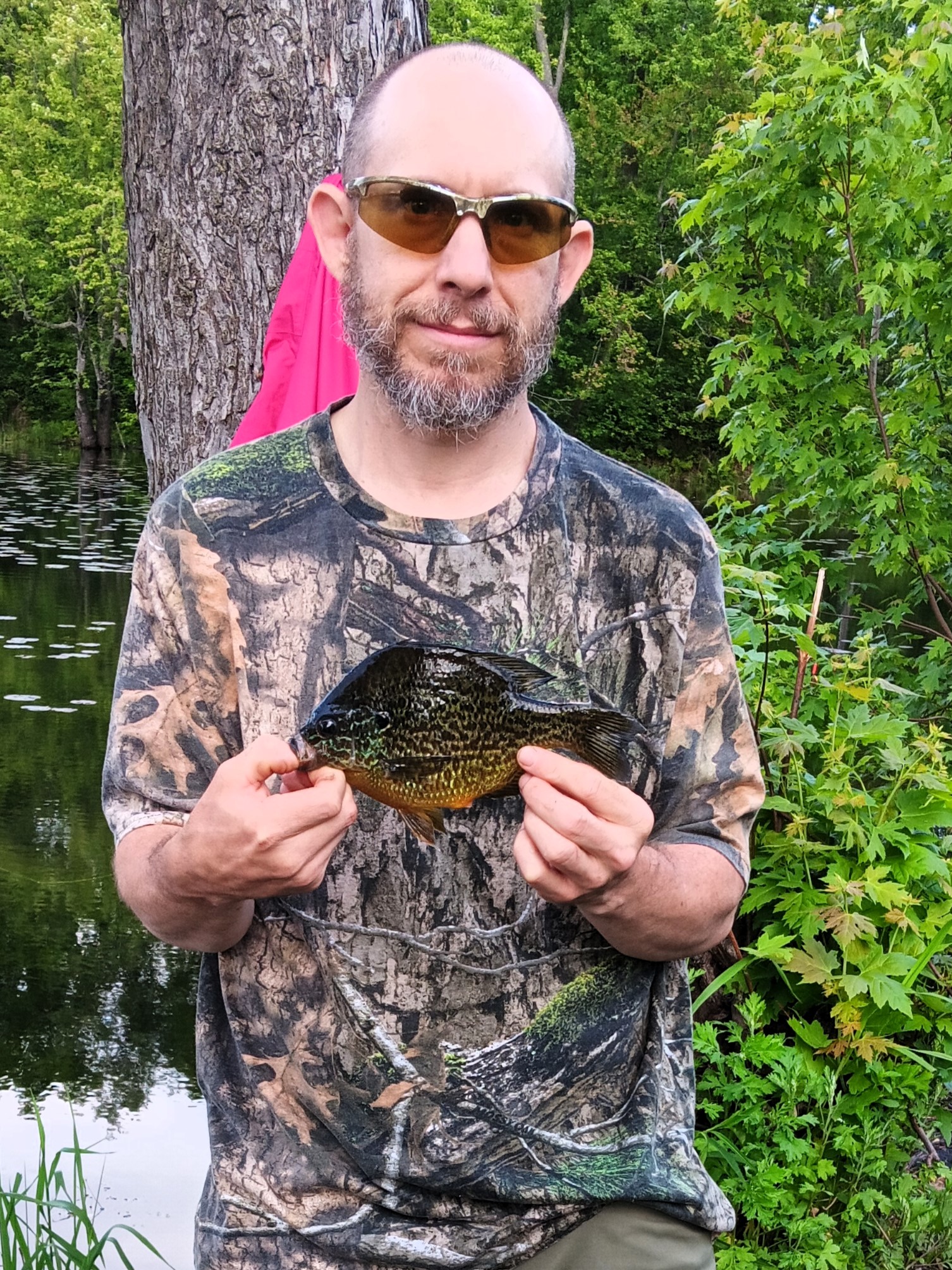 Master Angler Search | VT FWD